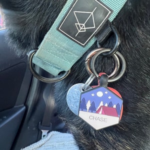 Frog Rogue Class Sticker RPG Sticker Tabletop Gaming - Etsy