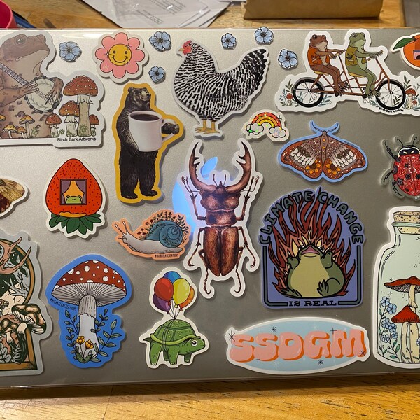 Climate Change is Real Burning Frog Sticker / Earth Day Gift ...