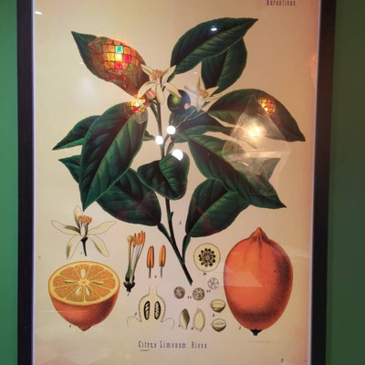 Alphonse Mucha Art Posters Precious Gems Narrow Poster Set of 4 Vintage ...