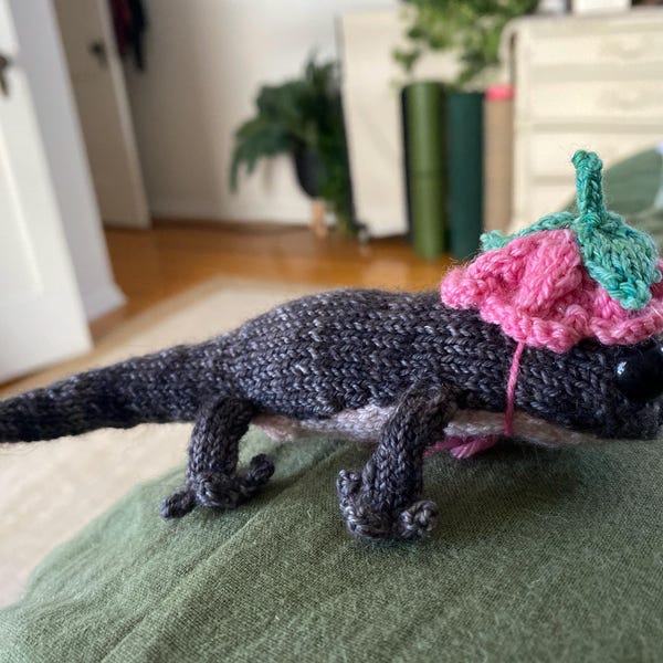 NEWT Knitting Pattern - Etsy