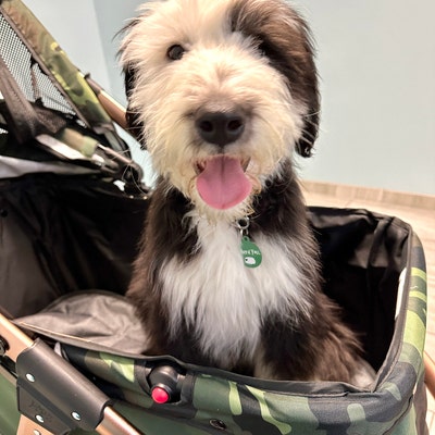 Beavers Warning Sign Funny Beaver Gift Funny Lake House Sign Funny ...