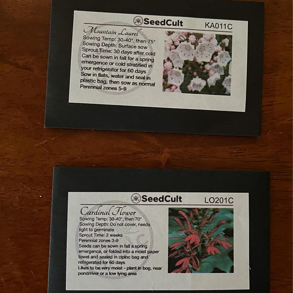 Bulk Red Cardinal Flower Seeds, Lobelia Cardinalis LO201C - Etsy