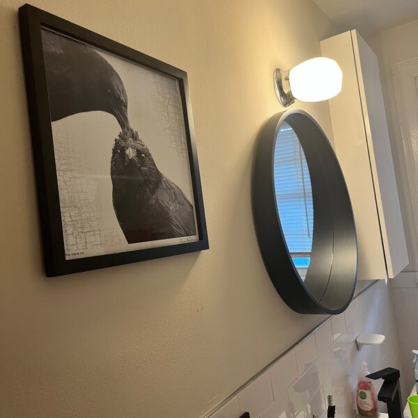 Raven Peace, A Single Raven in the Top of a Tree Signed Fine Art ...