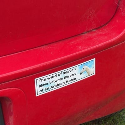 Funny Bumper Sticker. Beam Me up Scotty. No Intelligent Life Down Here ...