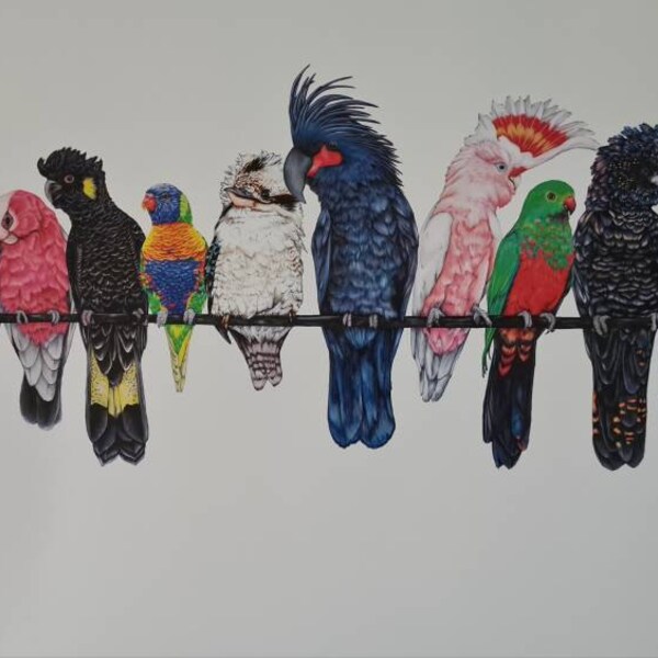 Australian Native Seed Pod Poster DIGITAL DOWNLOAD - Etsy