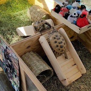 INDOOR Guinea Pig Ramp, Rabbit Ramp, Hedgehog Ramp With Sides Option 5. ...