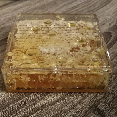 Raw Honey Comb Container 8-10 Oz. Natures Gum Honeycomb All Natural - Etsy