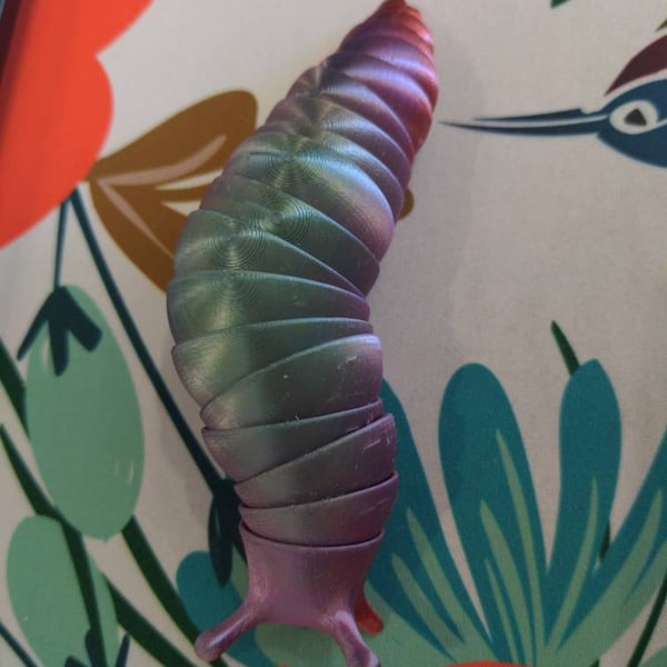Rainbow Slug Large | 3D Printed Slug | Multicolor Slug Slinky | Fidget ...