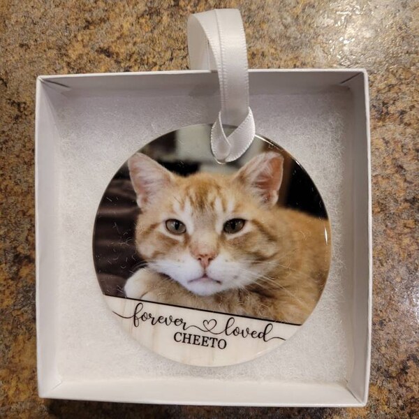 Custom Porcelain Cat Ornament Personalized, Cat Photo Gift, Pet Lover ...
