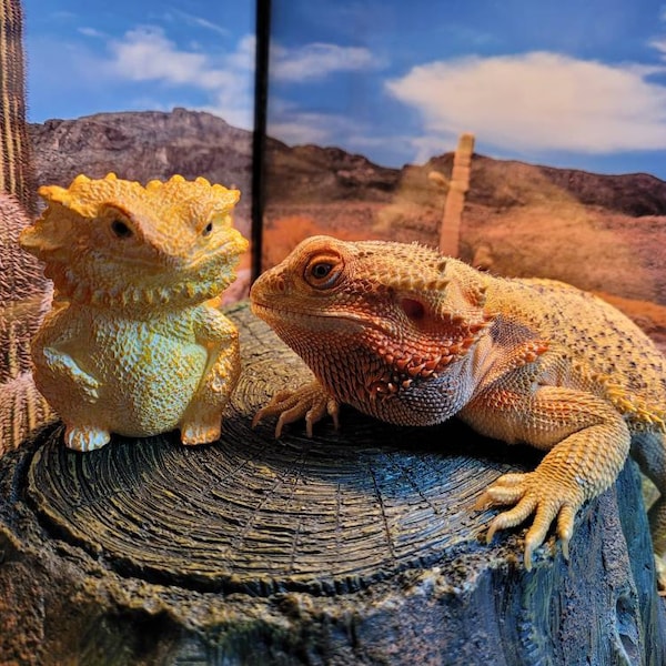 Handmade Resin Bearded Dragon Figurine: Yellow Comic Character ...