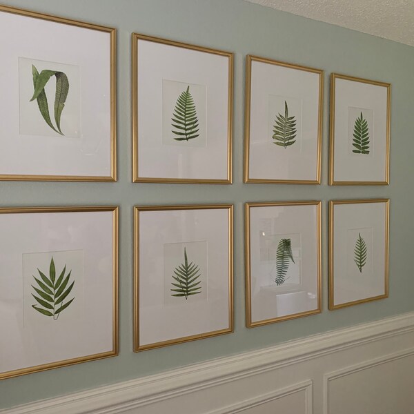 Fern Print Set, Fern Prints Set of 8, Set of 8 Fern Prints, Botanical ...