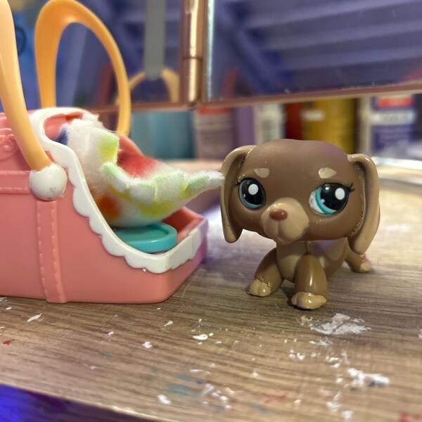 Authentic LPS 26 Pc Play Set 3 Pets 1 Random CAT or DOG and 2 Other ...