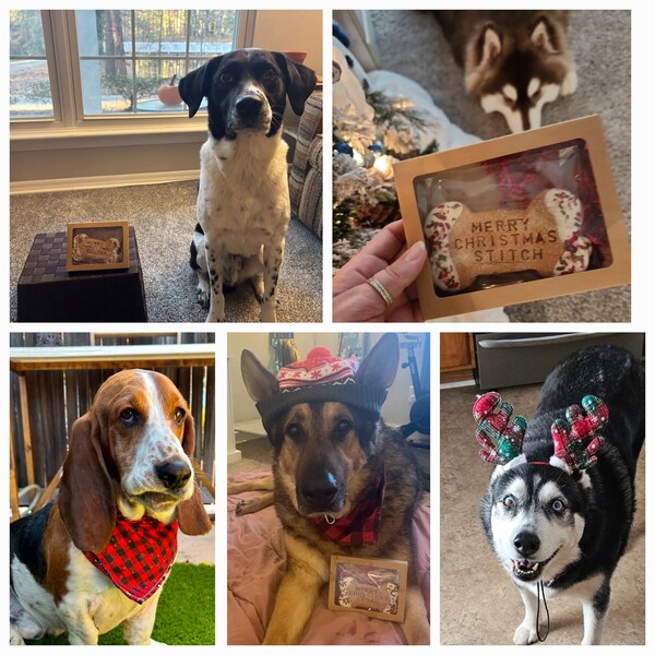 Frosted Mini Bones, All Natural, Custom Bones, Peanut Butter, Birthday ...