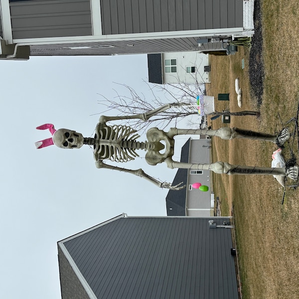 12 Ft Skeleton Wire Bunny Ears. Each Sold Separately. (skeleton Not ...