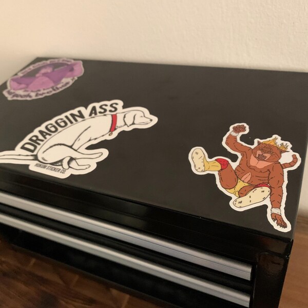 Raccoon Rampage Sticker | Raccoon Stickers | Funny Sticker | Water ...