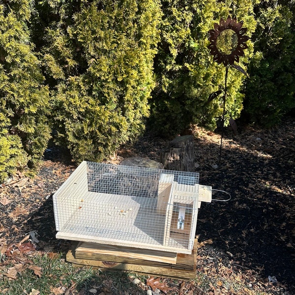 Original Deluxe Repeating Sparrow Trap (full Copyright Directions ...