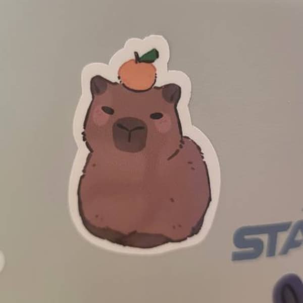 Cute Capybara Sticker Set | Cute Capybaras Sticker Pack Waterproof ...