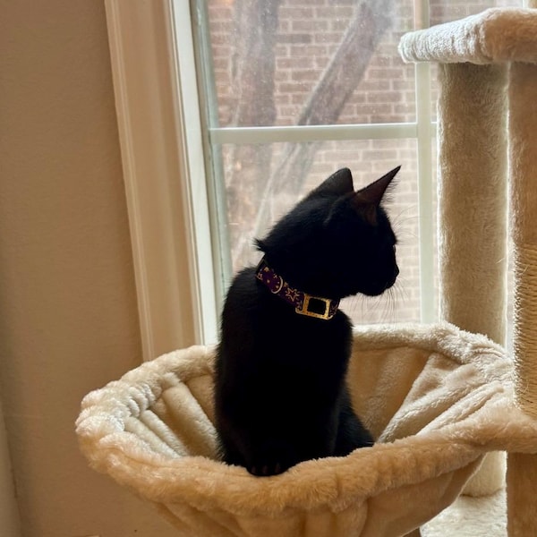 Cat Bell Cute Jingle Bell / Cat Collar Bell / Cat Collar With Bell ...