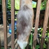 XL Smokey Red Fox Tail (XL and Regular Size), Real Fox Tail, Tails for ...