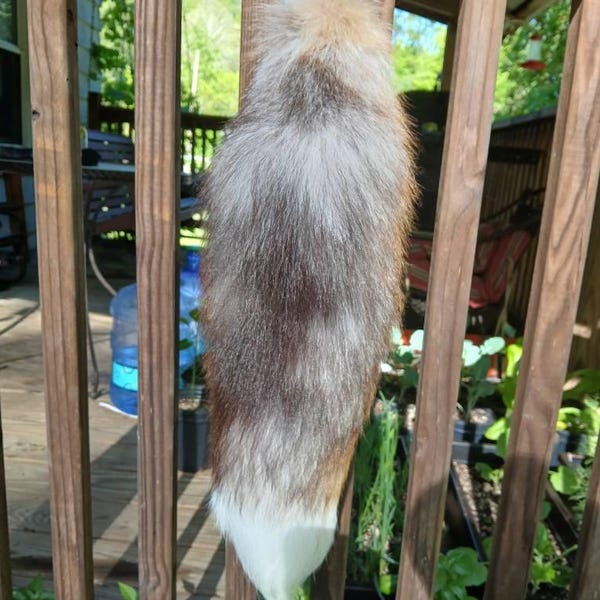XL Smokey Red Fox Tail (XL and Regular Size), Real Fox Tail, Tails for ...