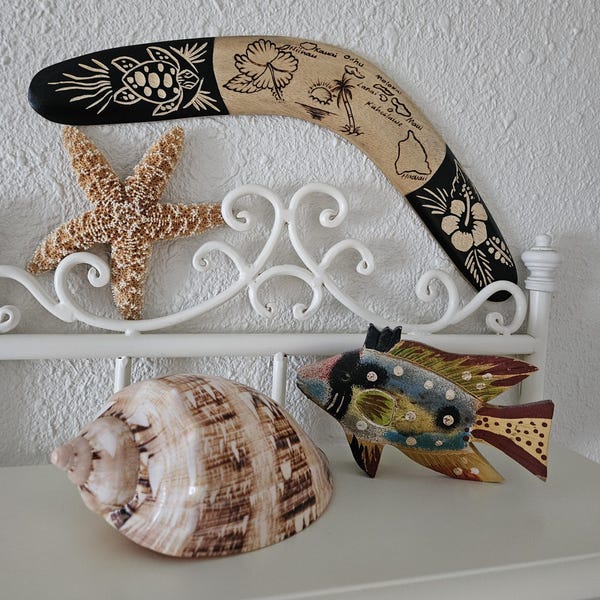 Set of Three 31.9-103.3mm FLORIDA Keys Found Tonna Galea GIANT Tun ...