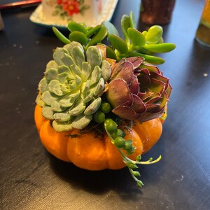 Congrats Gift Box for Her Way to Go Gift for Best Friend | Etsy