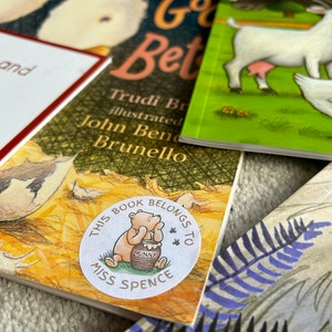 Gorgeous Peter Rabbit Vinyl Decal Sticker Digitally Cut Just Peel and ...