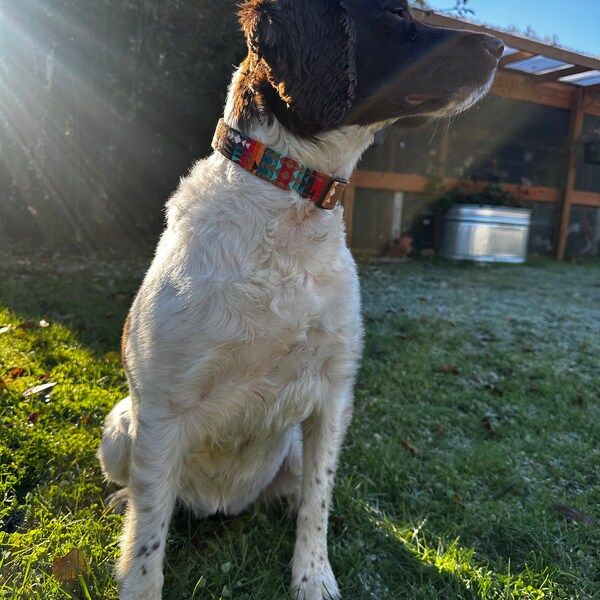 Aztec Dog Collar • Navajo • Western Dog Collar • Southwestern Collar ...
