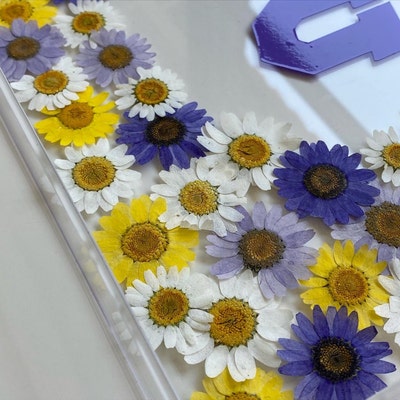 SHIPS FROM U.S. Real Dried Pressed Daisy Flowers 15 Pieces Resin ...