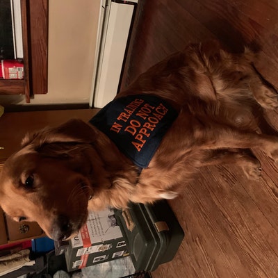 Vest adjustable Size, in Training Do Not Approach, Light Weight Sd ...