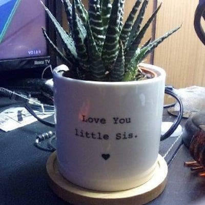 Personalized DNP Graduation Gift 3 White Ceramic Pot W/ Live Plant DNP Gift Doctor of Nursing ...