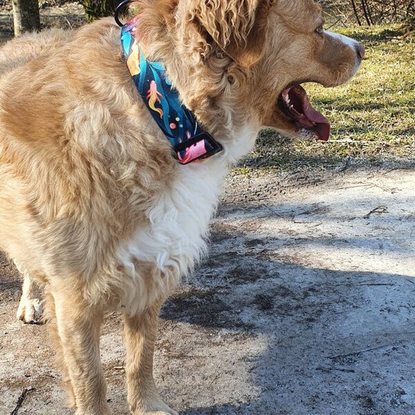 Funny Adjustable Dog Harness, Personalized Guard Harness, Soft Webbing ...