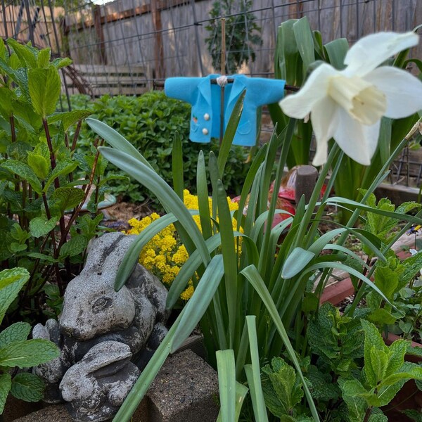 Peter Rabbit Garden Jacket Pattern, Gardening Lover, Vegetable Plot ...