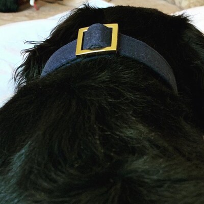 Solid Navy Dog Collar Solid Navy Cotton Fabric Dog Collar Fashion Dog ...