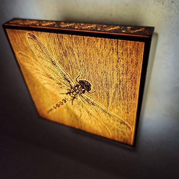 Dragonfly Night-light, Wall Art, Bug, Insect Lamp - Etsy