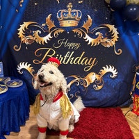 Alien Dog Costume, Toy Story Alien Dog Outfit, Halloween Dog Outfit ...