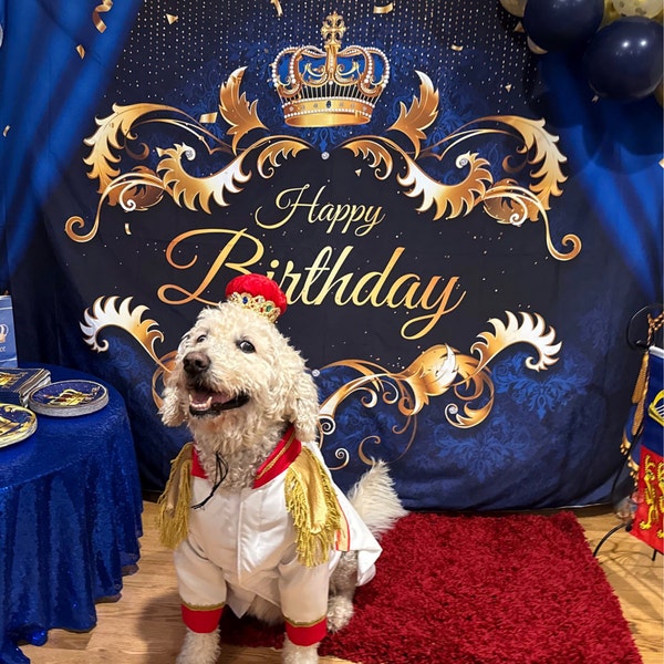 Prince Charming Dog Costume, Prince Charming Dog Outfit, Prince Dog ...