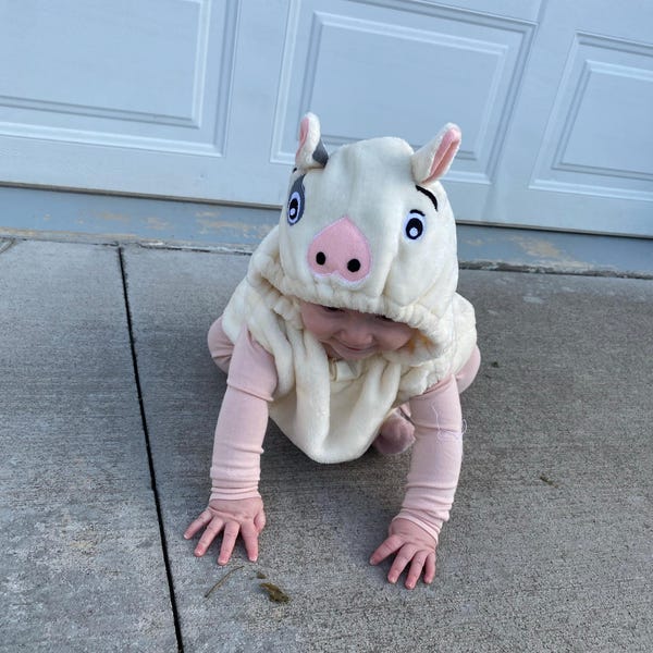 Dog Pig Costume, Pua From Moana Costume for Pets, Pig Costume for Dogs ...