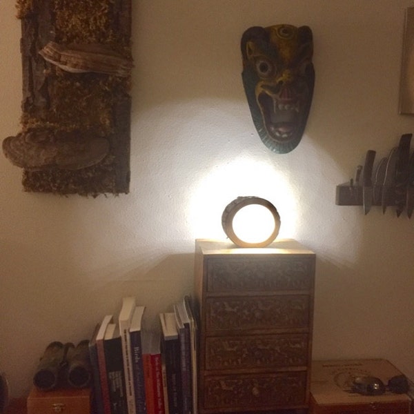 Small LED Log Light Table Lamp Desk Light Real Wooden Log Hollow ...