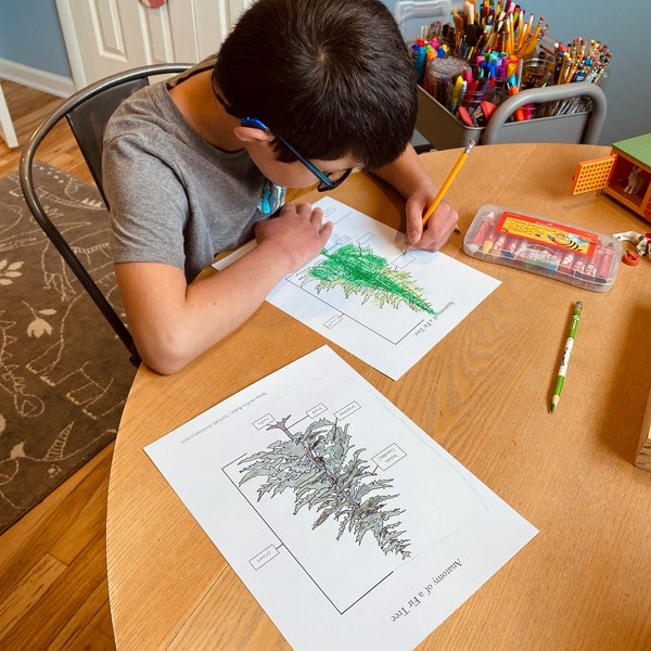 Spring With Peter Rabbit Learning Collection - Etsy