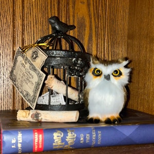 Boomslang Skin Magical Snake Skin Potion Ingredient Jar - Etsy