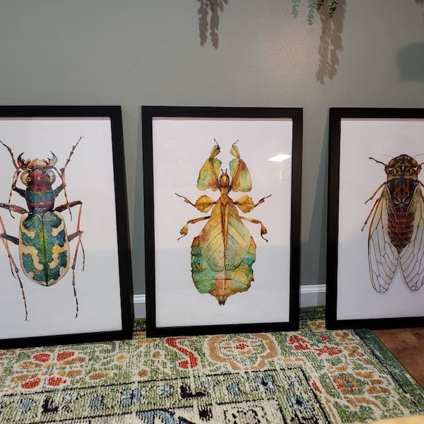 Watercolor Insect Art Print Set: Custom Beetle & Bug Wall Decor - Etsy