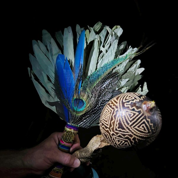 Chakapa ~ Shacapa ~ Shamanic Leaf Rattle ~ Macaw Feathers ~ Jaguar ...