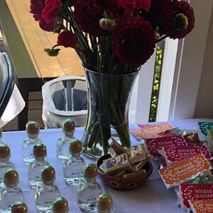 5 Cactus Succulents Matchbox Set Wedding Favors - Etsy