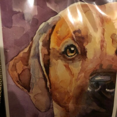 Rhodesian Ridgeback Art Print of Original Watercolor Painting 8x10 ...