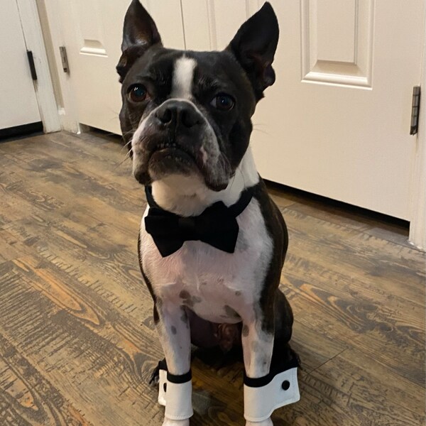 Dog Cuffs, Custom Dog Tuxedo Cuffs for Wedding, Dog Wedding Accessory ...