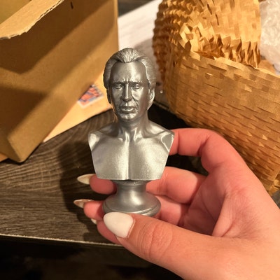 Picolas Cage 3D Print Resin - Etsy