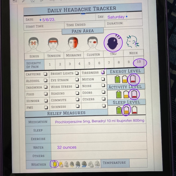 Autism Care Binder, Autism Planner Printable, Special Needs Child ...