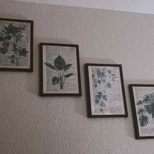 Plant Themed Dictionary Prints - Etsy