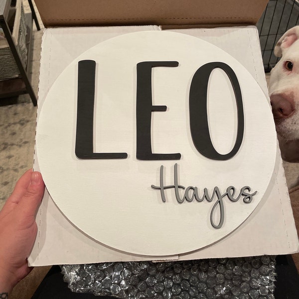 Fun Birthday Sign; Rainbow Birthday Sign; Unique Wooden Birthday Sign ...